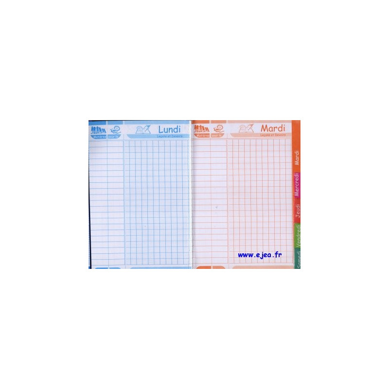 Angry Birds Cahier de textes Bleu